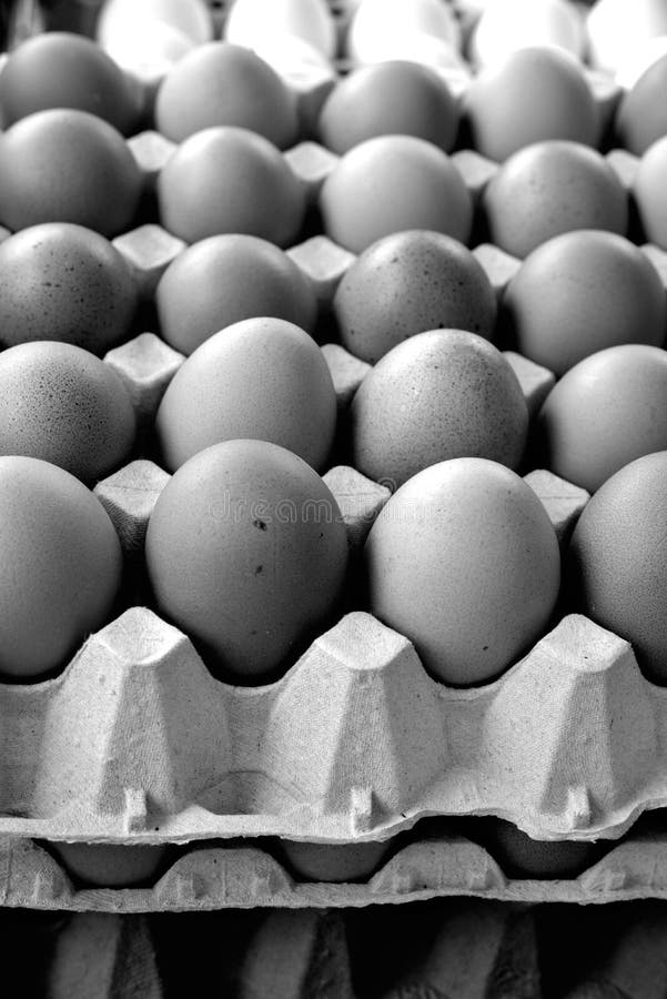 Vertical Grayscale Shot of a Box with Eggs Stock Photo - Image of eggs ...