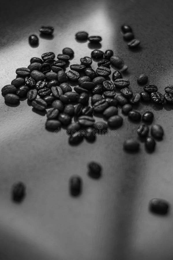 Vertical Grayscale Shot of Coffee Beans on a Gray Surface Stock Photo ...
