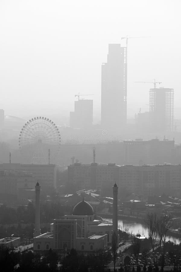 Vertical Grayscale Shot of Smog Covering the Modern City Stock Image ...
