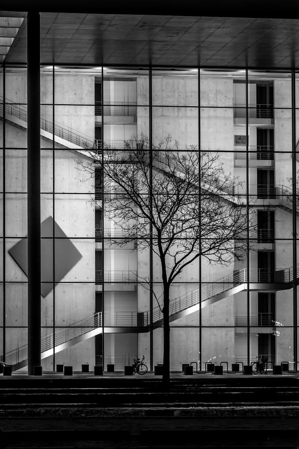Vertical Grayscale Shot of Staircase on the Side of a Building Stock ...