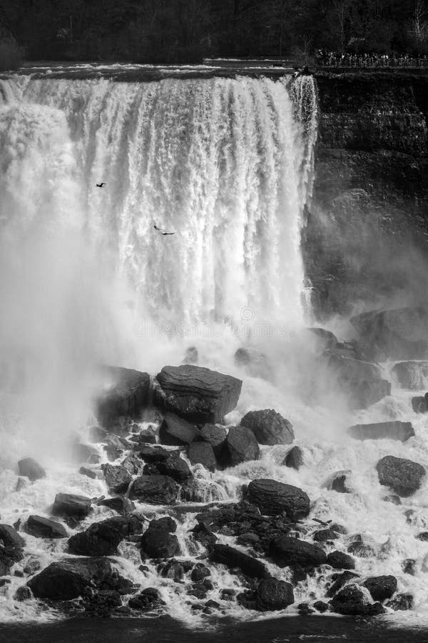 Vertical Grayscale Shot of White Foamy Waterfall Flowing Down the Rocky ...
