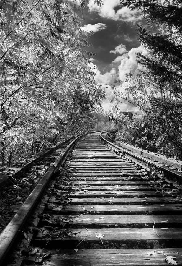 Vertical Grayscale Shot of a Wooden Railroad between Trees Stock Photo ...