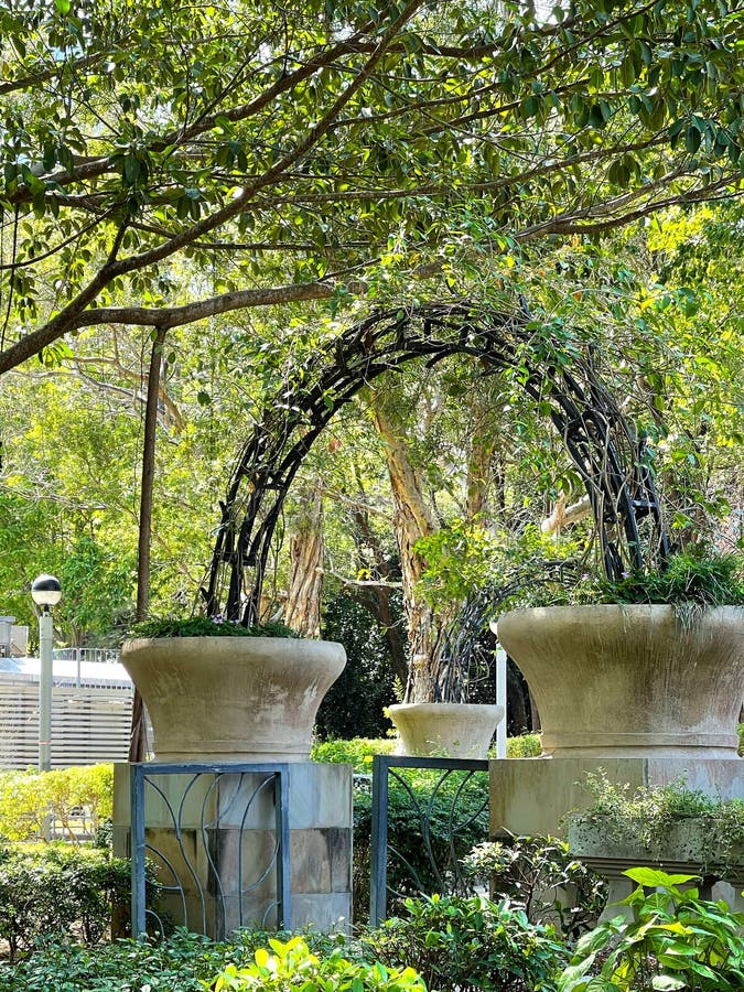 Vertical Green Trees and Outdoor Flower Plants in Outdoor Park Stock ...