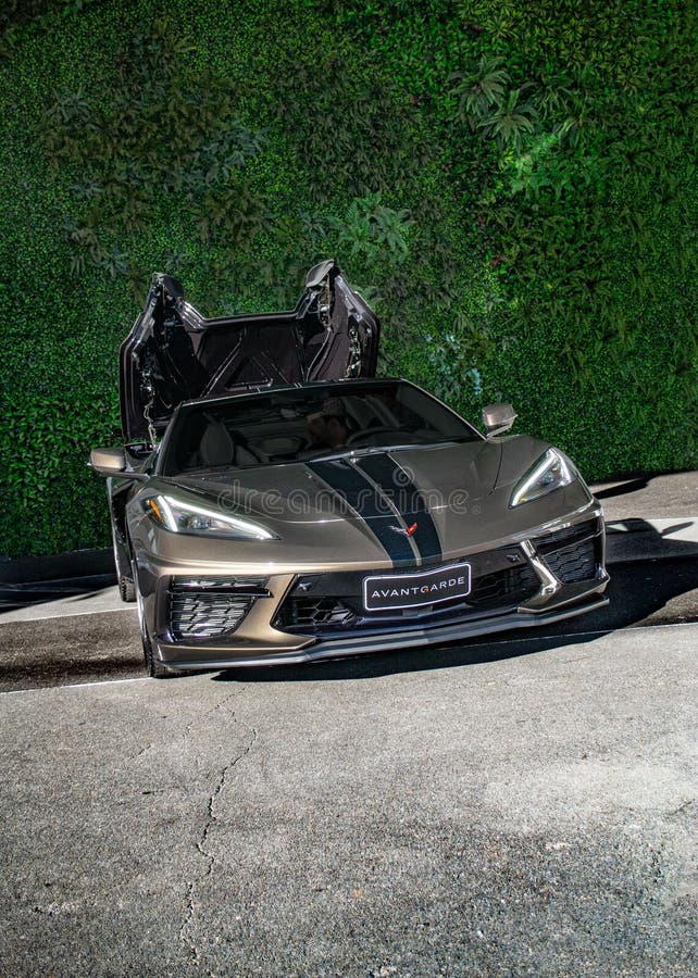 Vertical of Grey Chevrolet Corvette C8 with Headlights on Against Green ...