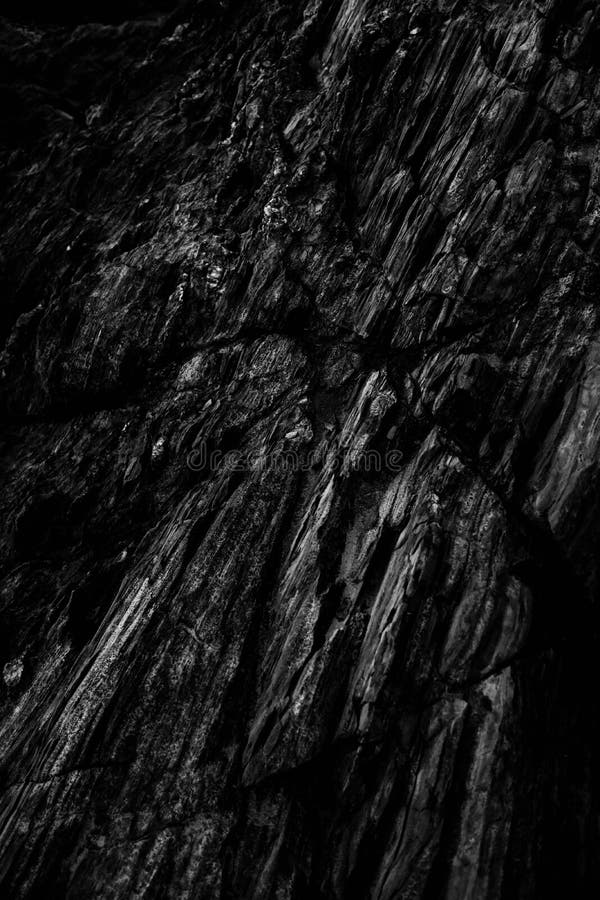 Vertical Grey Scale Shot of the Beautiful Patterns on the Rock ...