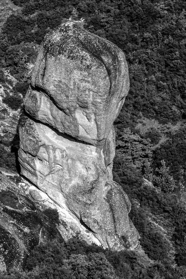 Vertical Grey Scale Shot of a Huge Rock on the Tree Covered Mountain ...