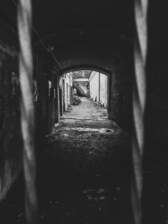 Vertical Grey-scale Shot of an Old Underground with Rainwater on the ...