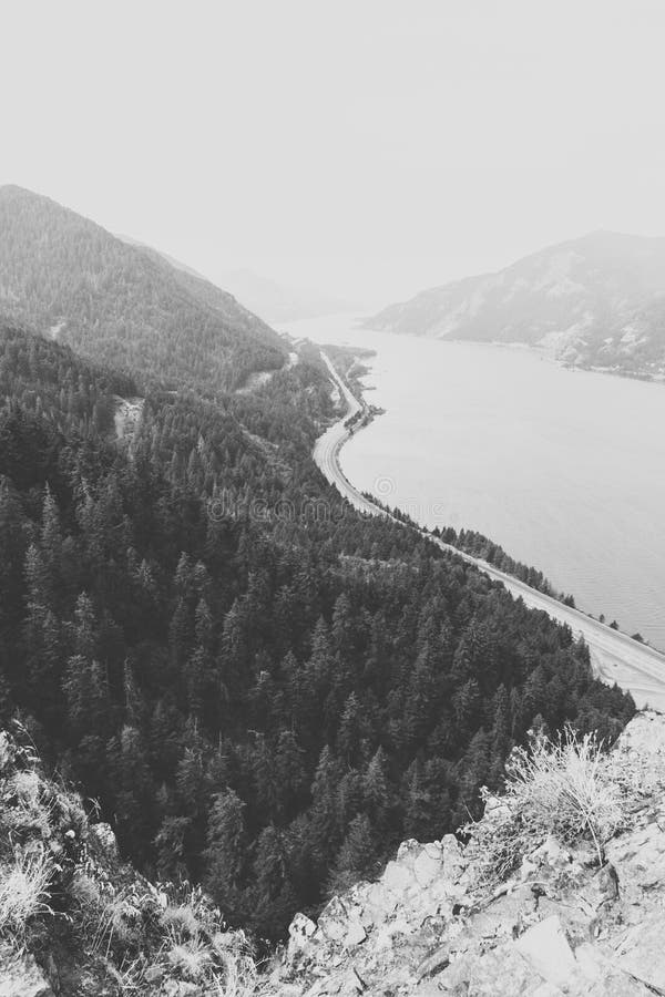Vertical Greyscale High Angle Shot of Forest Mountains at the Shore of ...