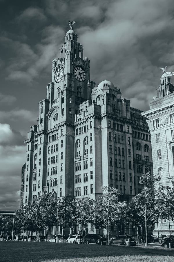 Vertical Greyscale of the Liver Building in the City of Liverpool ...