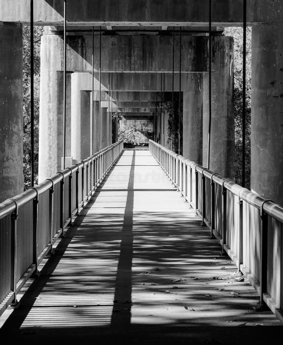 Vertical Greyscale Shot of a Bridge with Columns Stock Image - Image of ...