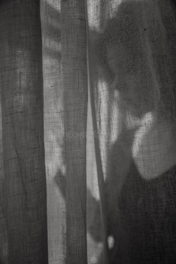 Vertical Greyscale Shot of a Female Barely Visible through a Curtain ...