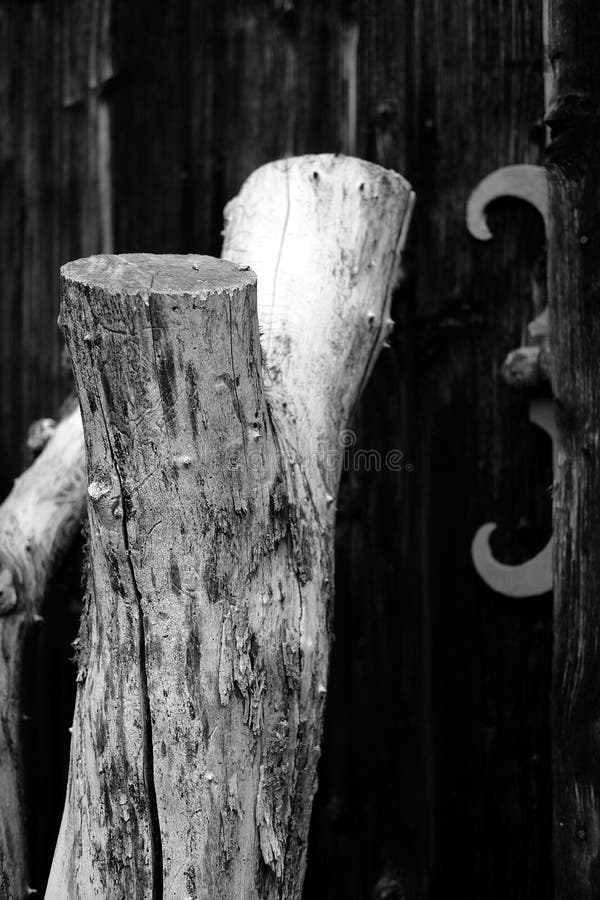 Vertical Greyscale Shot of an Old Dead Tree Log, Ecology Concept Stock ...