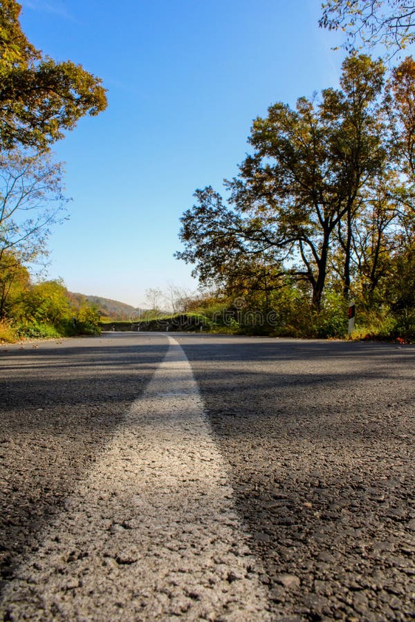 Vertical Ground Level Shot of an Asphalt Road Surrounded by Green Trees ...