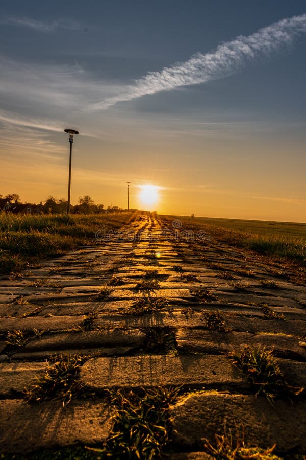 Vertical Ground-level Shot of a Pathway in a Field during the Sunset ...