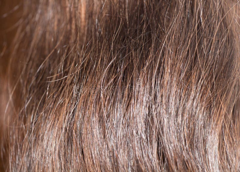 Vertical hair backround stock photo. Image of fashion - 72798608