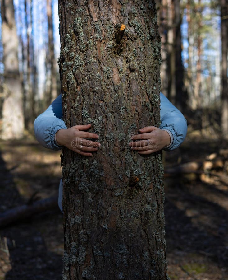 Vertical. Hands Hug a Large Tree in the Forest, Saving and Protecting ...