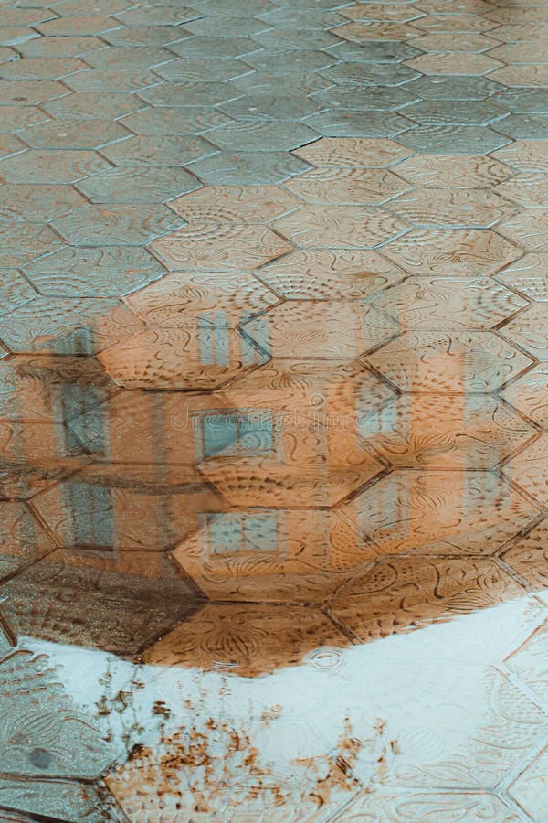 Vertical of Hexagonal Pavement with Concrete Bricks on a Rainy Day ...