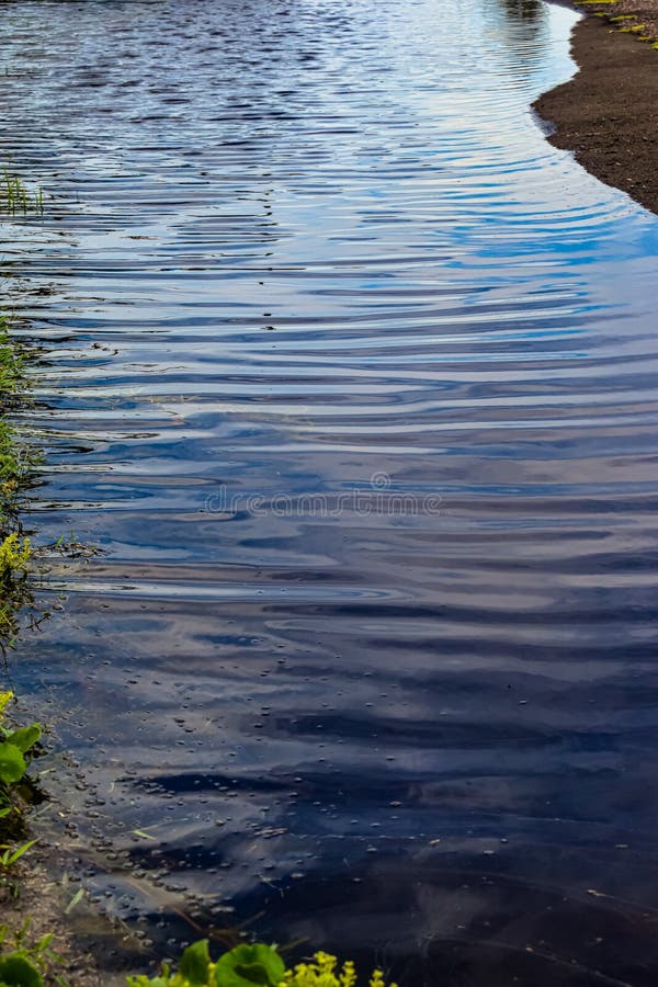 Vertical High Angle Closeup Shot of the Water of the Lake with Natural ...