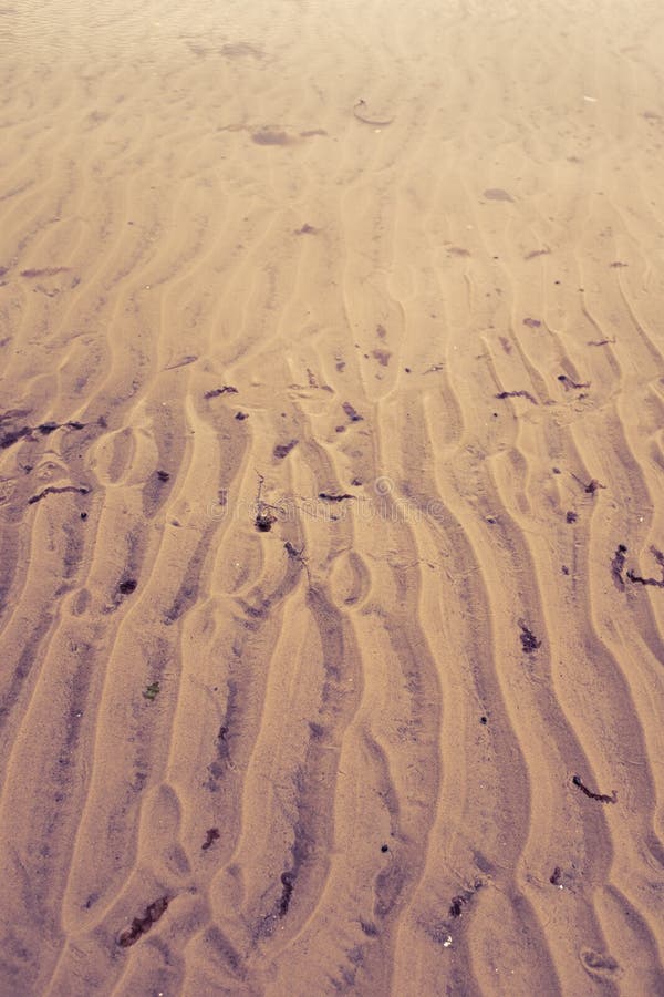 Vertical High Angle Closeup of Textured Sand Ripples at the Beach Stock ...