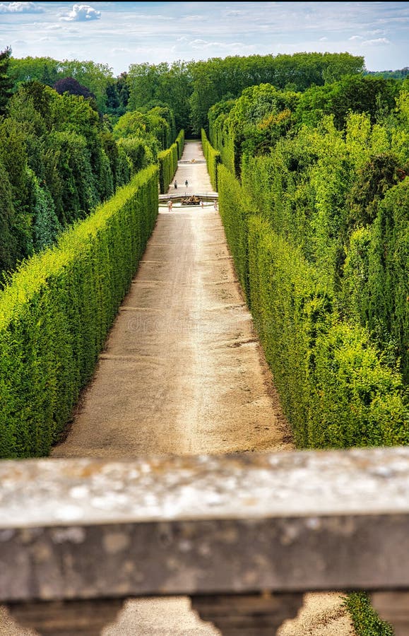 Vertical High-angle of a Path in the Park Trees Around View from Palace ...