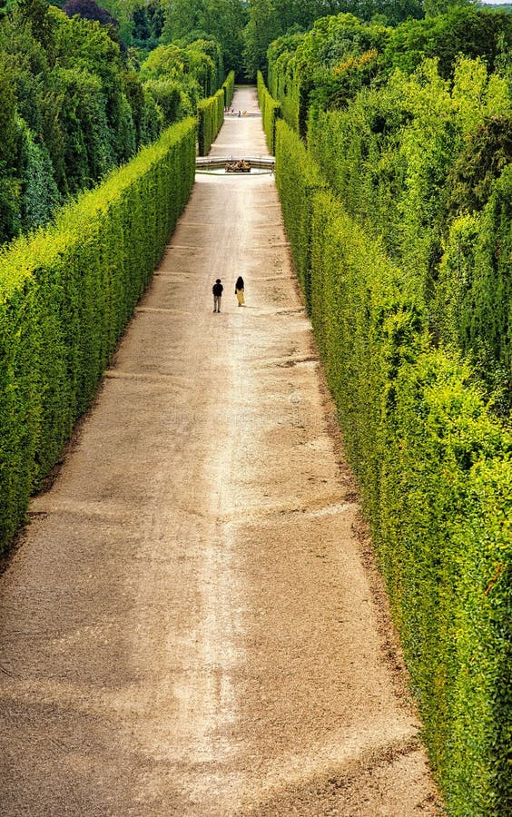 Vertical High-angle of a Path in the Park Trees Around View from Palace ...
