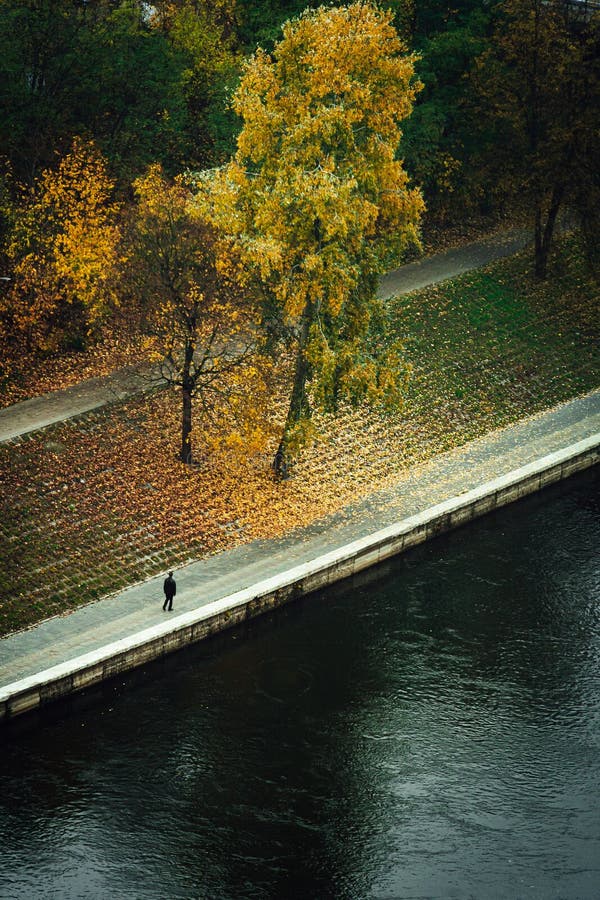 Vertical High Angle Shot of Autumn Trees Near a River Stock Photo ...
