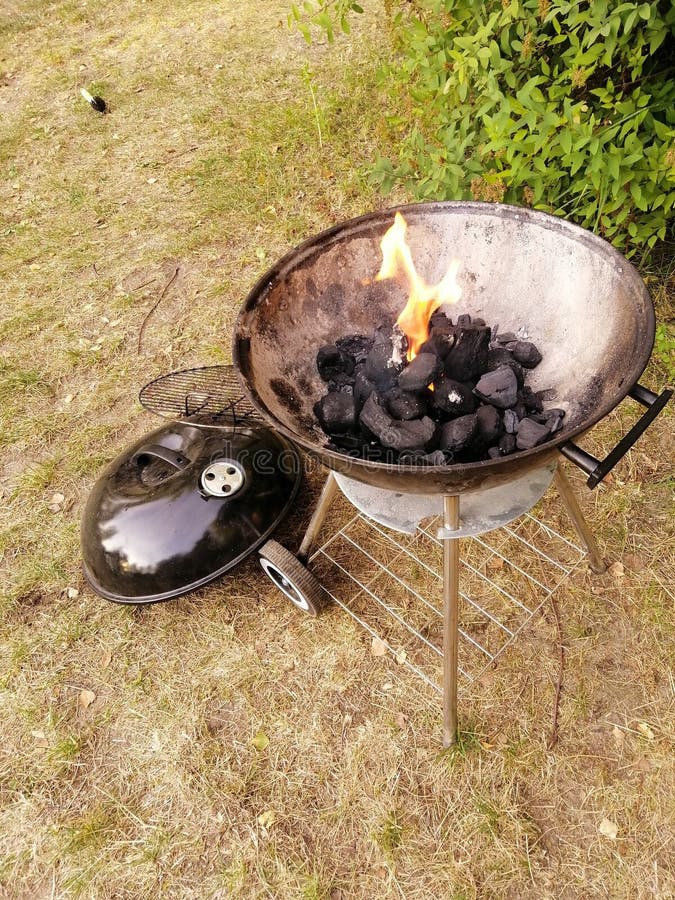 Vertical High Angle Shot of the Bbq Fire in the Woods Stock Photo ...