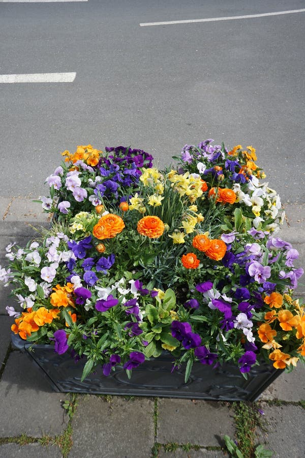 Vertical High Angle Shot of a Beautiful Flower Pot Outdoors Stock Photo ...