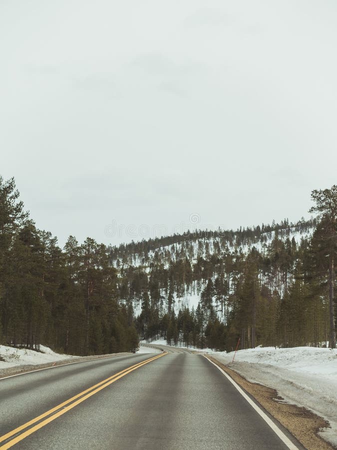 Vertical High Angle Shot of a Highway in the Center of the Snowy Forest ...