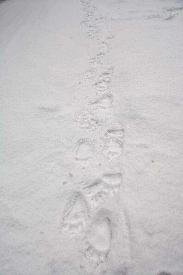 Vertical High Angle Shot of Human Footsteps on a Snowy Road Stock Image ...
