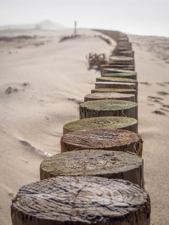 Vertical High Angle Shot of a Long Line of Wooden Docks on the Sandy ...