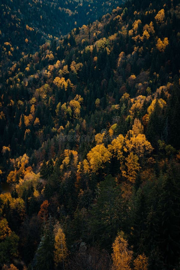 Vertical High Angle Shot of a Mountain Range Covered with Colorful ...
