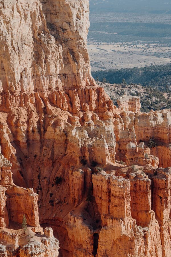 Vertical High Angle Shot of the Red Rocks in a Canyon Stock Image ...