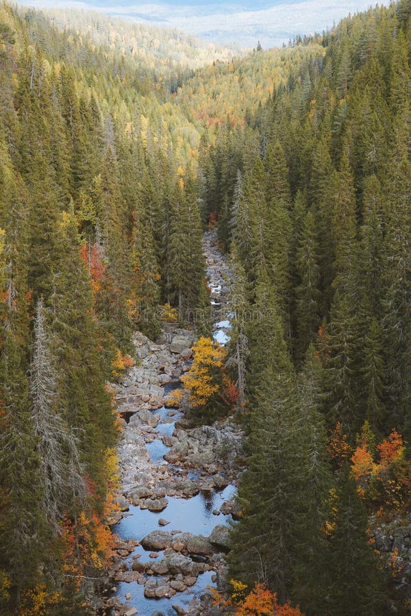 Vertical High Angle Shot of a River Going through the Beautiful Tall ...