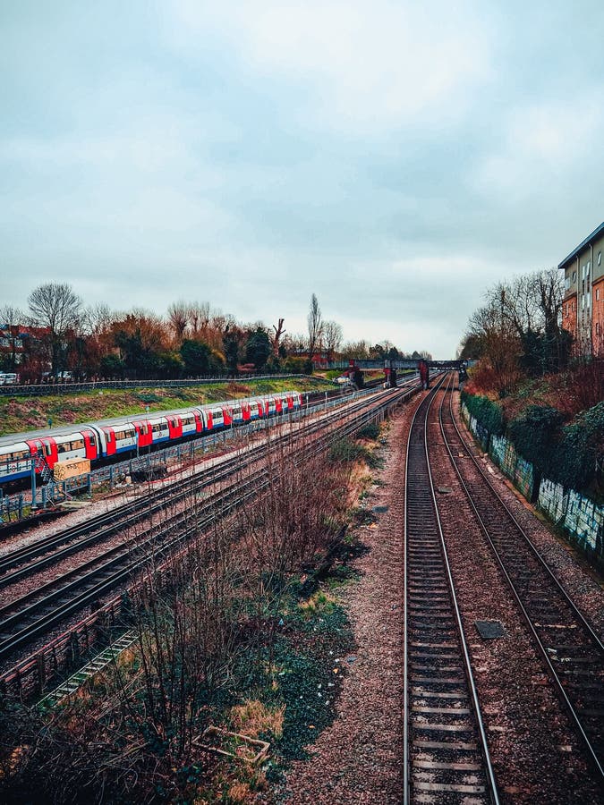 Vertical High Angle Shot of a Train and the Train Tracks Surrounded by ...
