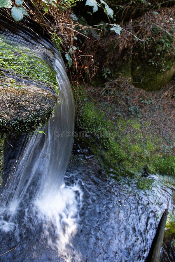 Vertical High Angle Shot of the Water Flowing on the Mossy Rocks Stock ...