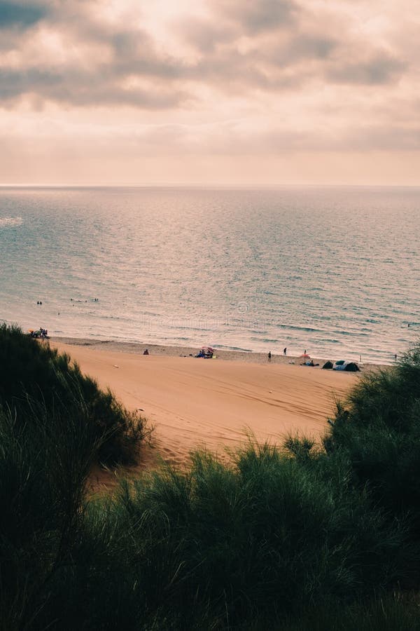 Vertical High-angle View of the Mesmerizing Sea and a Coastline with ...