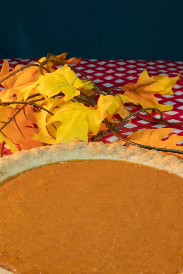 Vertical High-angle View of a Pumpkin Pie Over the Red Checkered ...