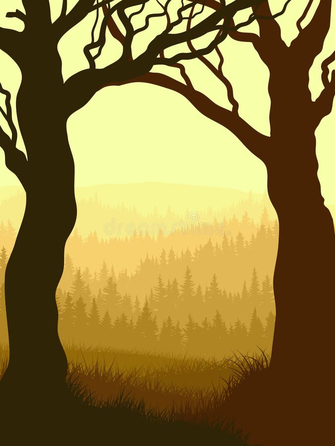 Vertical Illustration within Forest. Stock Vector - Illustration of ...
