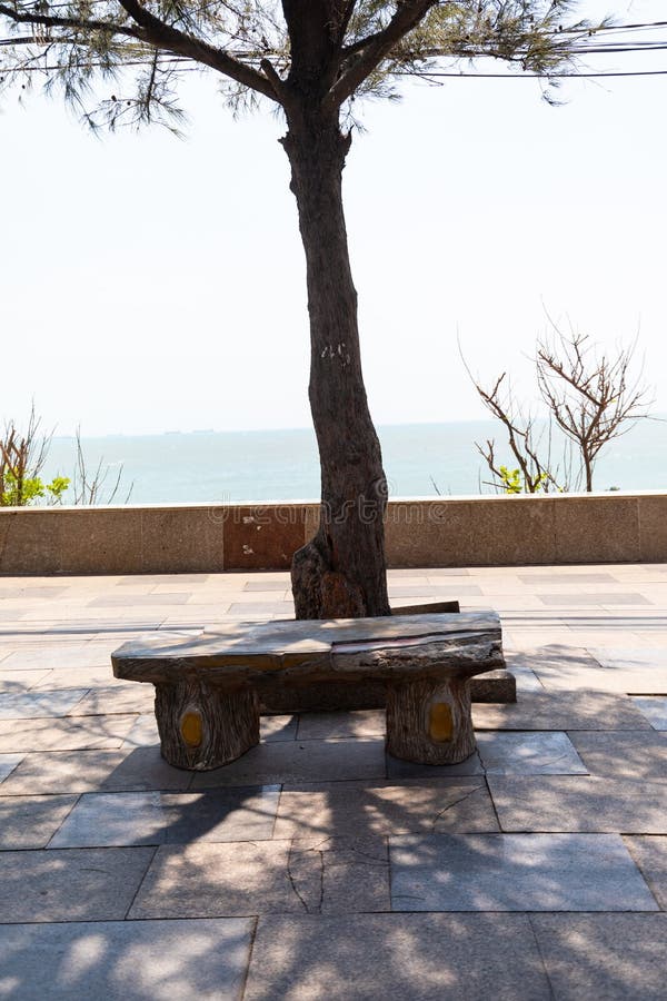 Vertical Image of a Bench with a Tree on a Ledge Overlooking the Ocean ...