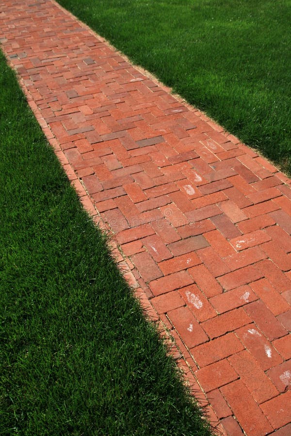 Brick Path stock photo. Image of guide, fern, plant, lined - 309972