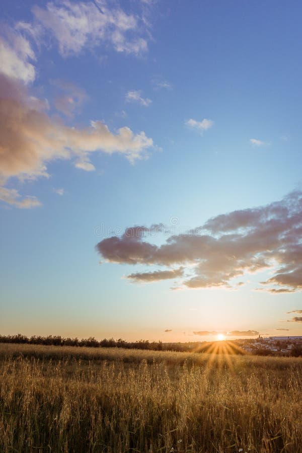 Vertical Image of a Brown Field with Sunbeams from the Setting Sun in ...
