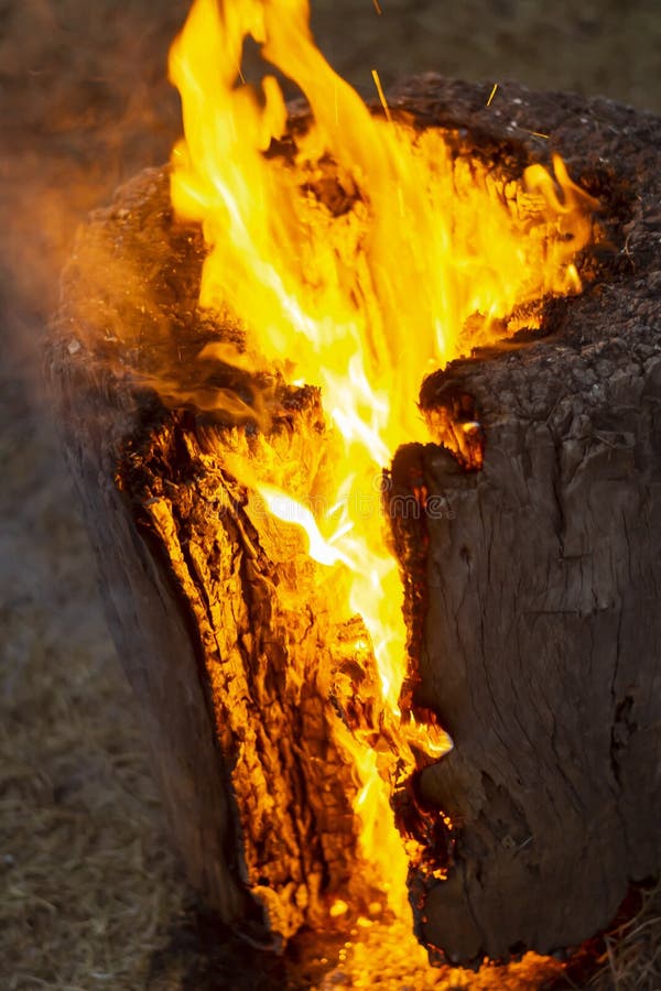 Vertical Image of a Burning Log Creating a Fiery Background Stock Photo ...