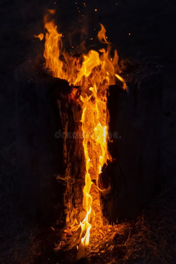 Image of a Fiery and Flaming Brick Oven. Firewood in the Furnace Stock ...