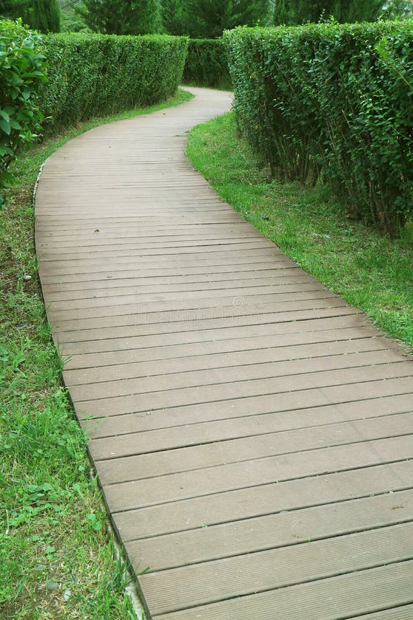 Vertical Image of an Empty Wooden Path in the Park Stock Image - Image ...