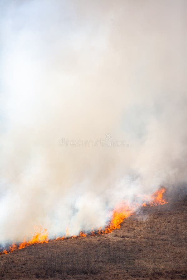 Raging pasture fire stock photo. Image of burnt, burning - 181794880