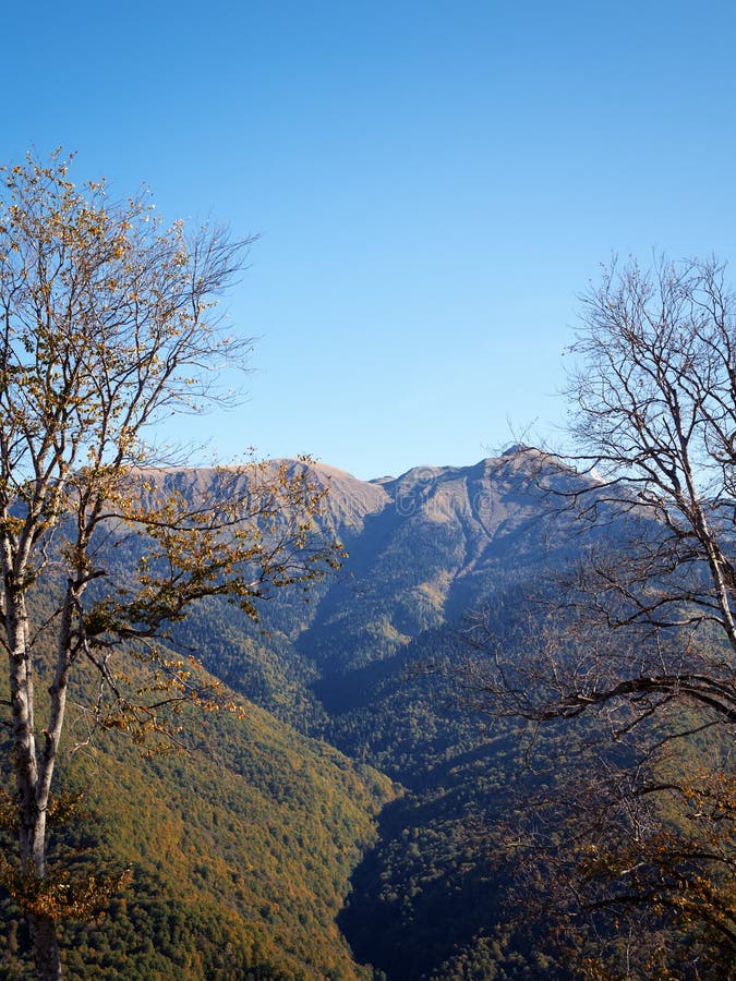 Vertical Image of a Mountain Landscape in Autumn with Trees on the ...