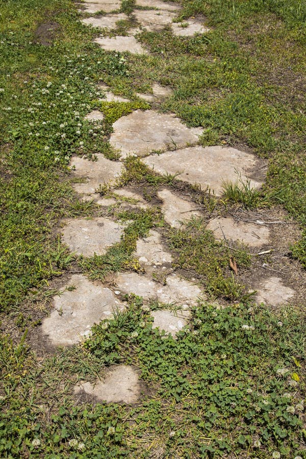Vertical Image of Old Rustic Rock Path with Clover Growing between ...