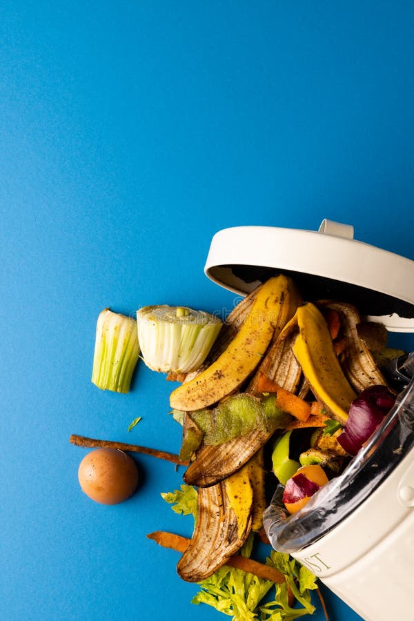 Vertical Image of Organic Fruit and Vegetable Food Waste Spilling from ...