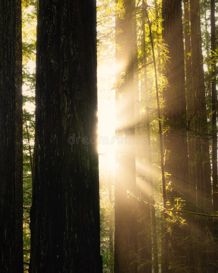 Sun rays behind clouds stock image. Image of storm, light - 1167285